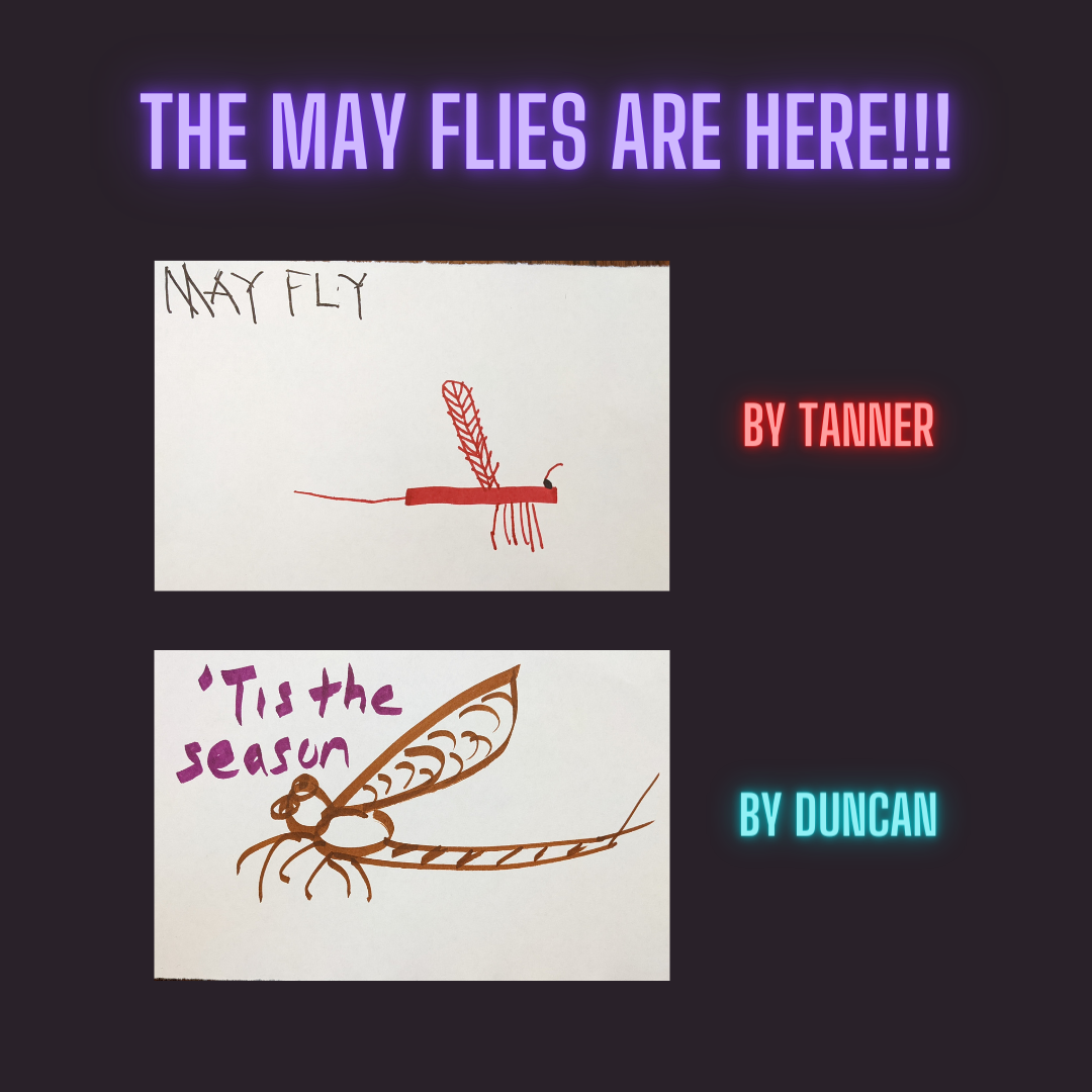 The May Flies Are Here!!! – Mighty Super Zero